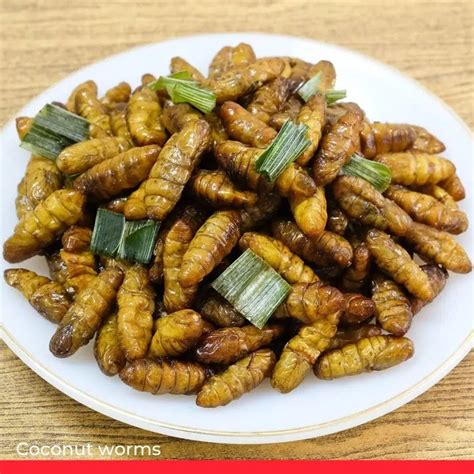 Disgusting Things To Eat