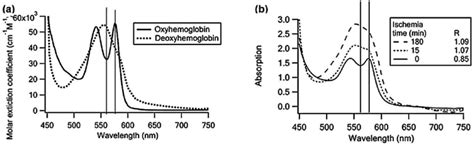 A Absorption Spectra Of Oxyhemoglobin And Deoxyhemoglobin B Average Download Scientific