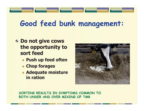 Tmr Feeding Presentation Ppt