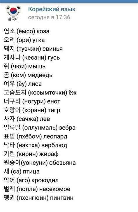 Пин от пользователя Go Die на доске корейский язык Учить корейский Обучение корейскому