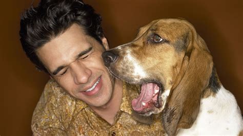 Si Tu Perro O Gato Huelen Mal Es Posible Que Tengan Un Problema De Salud Infobae