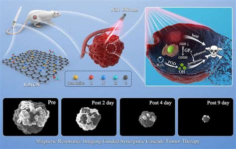 Near Infrared Triggered Nanozyme For Synergistic Cascade Tumor Therapy Statnano
