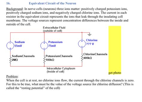 Solved 16 Equivalent Circuit Of The Neuron Background In