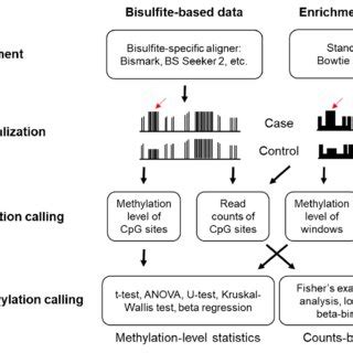 Computational Pipeline For DNA Methylation Sequencing Data Analysis Download Scientific Diagram