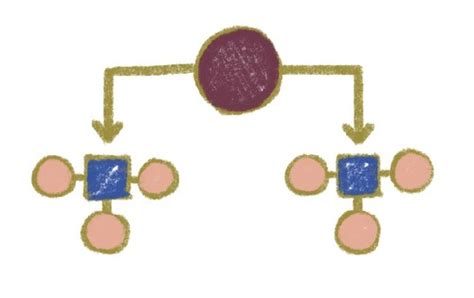 Programming And Site Analysis Flashcards Quizlet Programming And Site Analysis Flashcards Quizlet