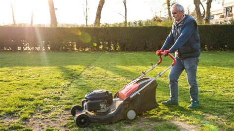 What Does It Mean To Scalp Your Lawn And Why Is It Bad