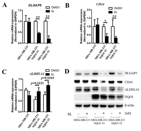 Ijms Free Full Text Nqo1 Is Required For β Lapachone Mediated