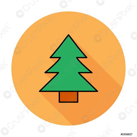 Conifer Stock Vector 3558827 Crushpixel