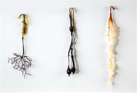 Andrea Spencers Painstakingly Layered Glass Sculptures Intertwine