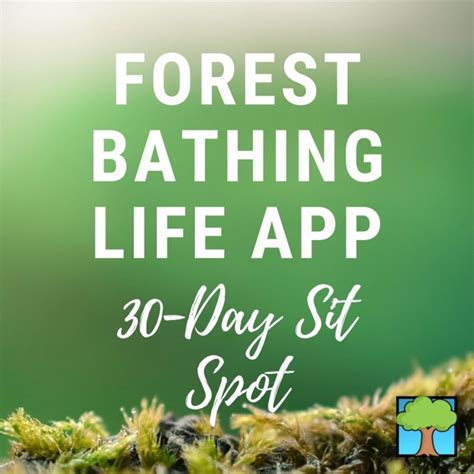 Top 10 Forest Bathing Books Recommended By Certified Guides