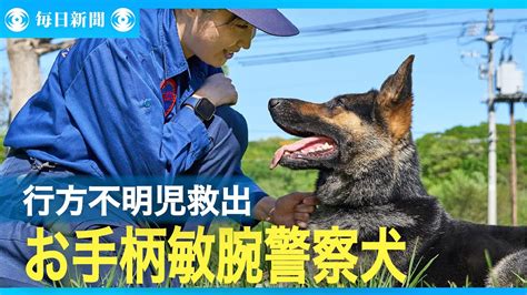 札幌の行方不明4歳児 探し出したのは「お手柄連発」の敏腕警察犬 Youtube