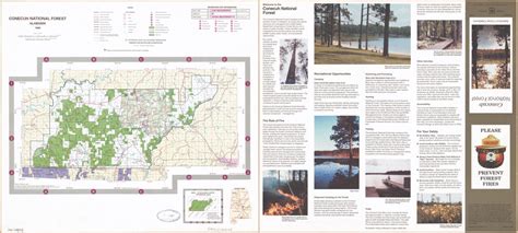 Conecuh National Forest Alabama 1999 Library Of Congress