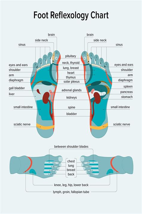 Reflexology Foot Massage Pressure Points In Your Feet Poster Foot Reflexology Chart Wall Art