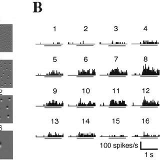 Tuning To The Density And Size Of Texture Elements A Representative Download Scientific