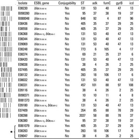 Dendrogram Based On Xbai Macrorestriction Patterns Of E Coli Isolates Download Scientific