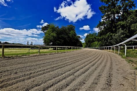 Arabian Jockey Club Added A New Photo Arabian Jockey Club