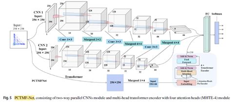 Brief Review — Classification Of Heart Sounds Using Machine Learning