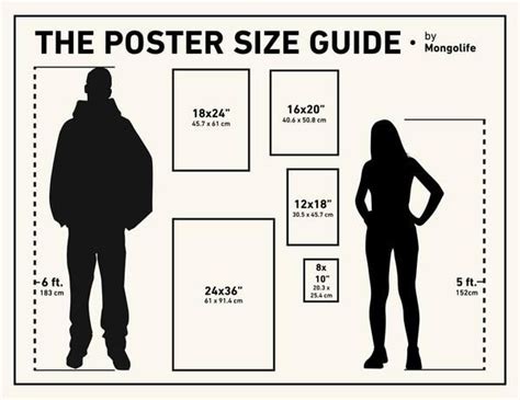 How Big 12x18 Poster On Wall Google Search Poster Prints