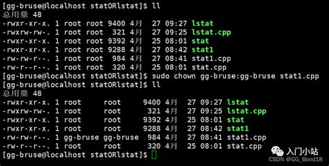 linux中文件权限 所有者 所属组修改 腾讯云开发者社区 腾讯云