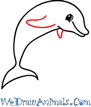 How To Draw A Cartoon Dolphin
