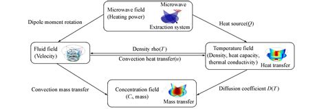 Development And Validation Of Multiple Physical Fields Coupling Model