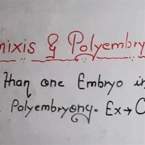Polyembryony Biology Notes Teachmint
