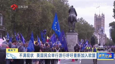 观天下｜不满现状 英国民众举行游行呼吁重新加入欧盟我苏网