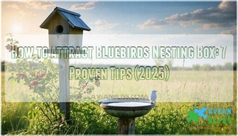 How To Attract Bluebirds Nesting Box 7 Proven Tips 2025