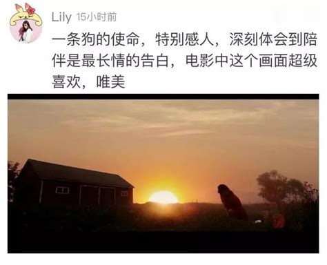 总结了 5 到 75 岁女性喜欢的台词，还是这一句最扎心！