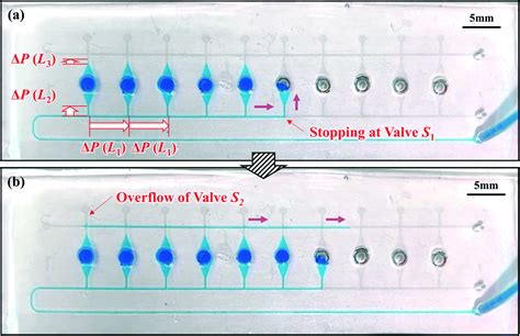 A Method Of Sequential Liquid Dispensing For The Multiplexed Genetic Diagnosis Of Viral