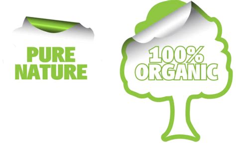 Set Of Tree Labels For Organic Paper Illustration Fresh Vector Paper