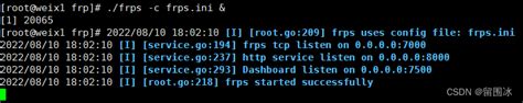 frp内网穿透web服务配置 frp web csdn博客