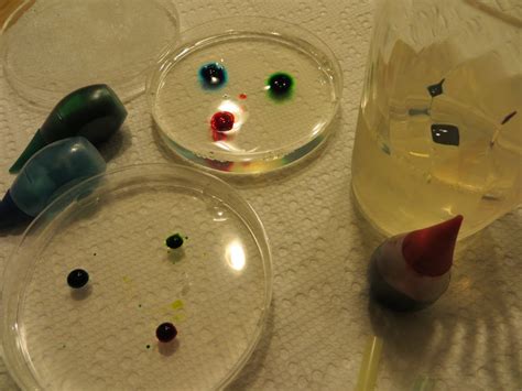 Diffusion And Osmosis Experiments The Kitchen Pantry Scientist