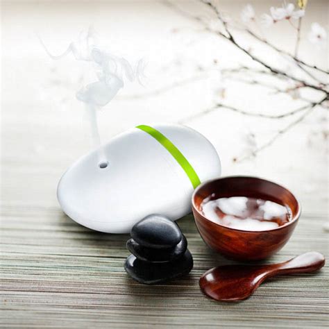 10 Cool And Stylish Oil Diffusers Design Swan