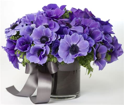Violet Flower With