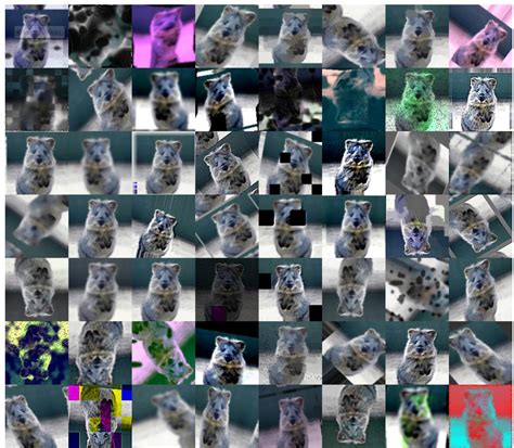 深度学习大杀器｜数据增强 知乎