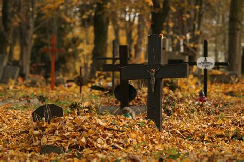 Cmentarz przy ulicy Samotnej Osiedle Świerczewo