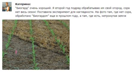 Биогард от сорняков – отзывы, цена, инструкция, развод или нет