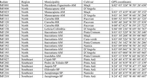 Relationship Of Mycosphaerella Fijiensis Isolates From Banana Cultivars