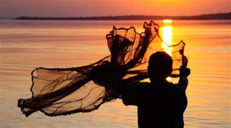 Why Kerala Wont Stop Fishing Explained News The Indian Express