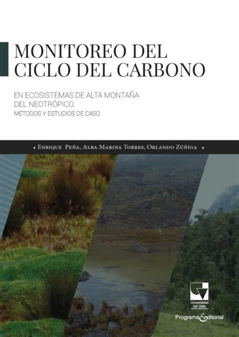 Monitoreo Del Ciclo Del Carbono En Ecosistemas De Alta Montaña Del Neo