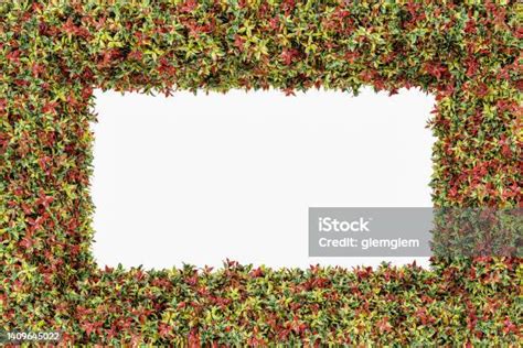 3d 렌더링 복사 공간이있는 수평 꽃 프레임 다채로운 잎 부시 흰색 배경에 고립 된 추상 잎 덤불 디자인 카드 배너 레이아웃 등에 사용하십시오 0명에 대한 스톡 사진 및