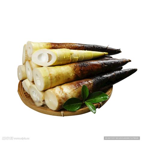 竹笋设计图蔬菜生物世界设计图库昵图网