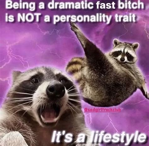 Funny Tuesday Memes Pictures Images For Motivation Artofit
