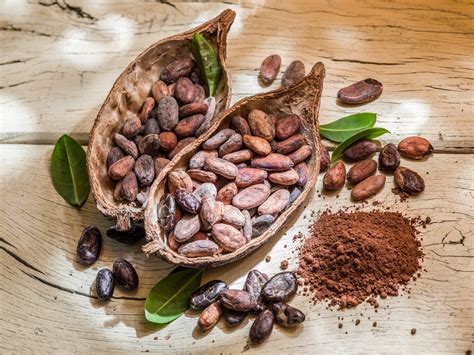 The Health Benefits of Cacao — Harvest Returns