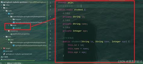 Java后端开发 使用springboot进行mybatis连接数据库步骤 阿里云开发者社区