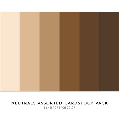 Neutrals Assorted Cardstock Pack Concord And 9th