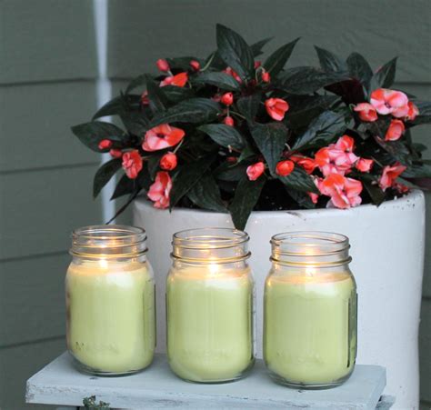 Mosquito Repellent Candle Natural Lemongrass 12 Oz Set Of 3 Soy