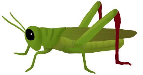 Download Grasshopper Clipart Hq Png Image Freepngimg