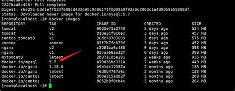 Docker安装mysql并远程访问实战 云社区 华为云